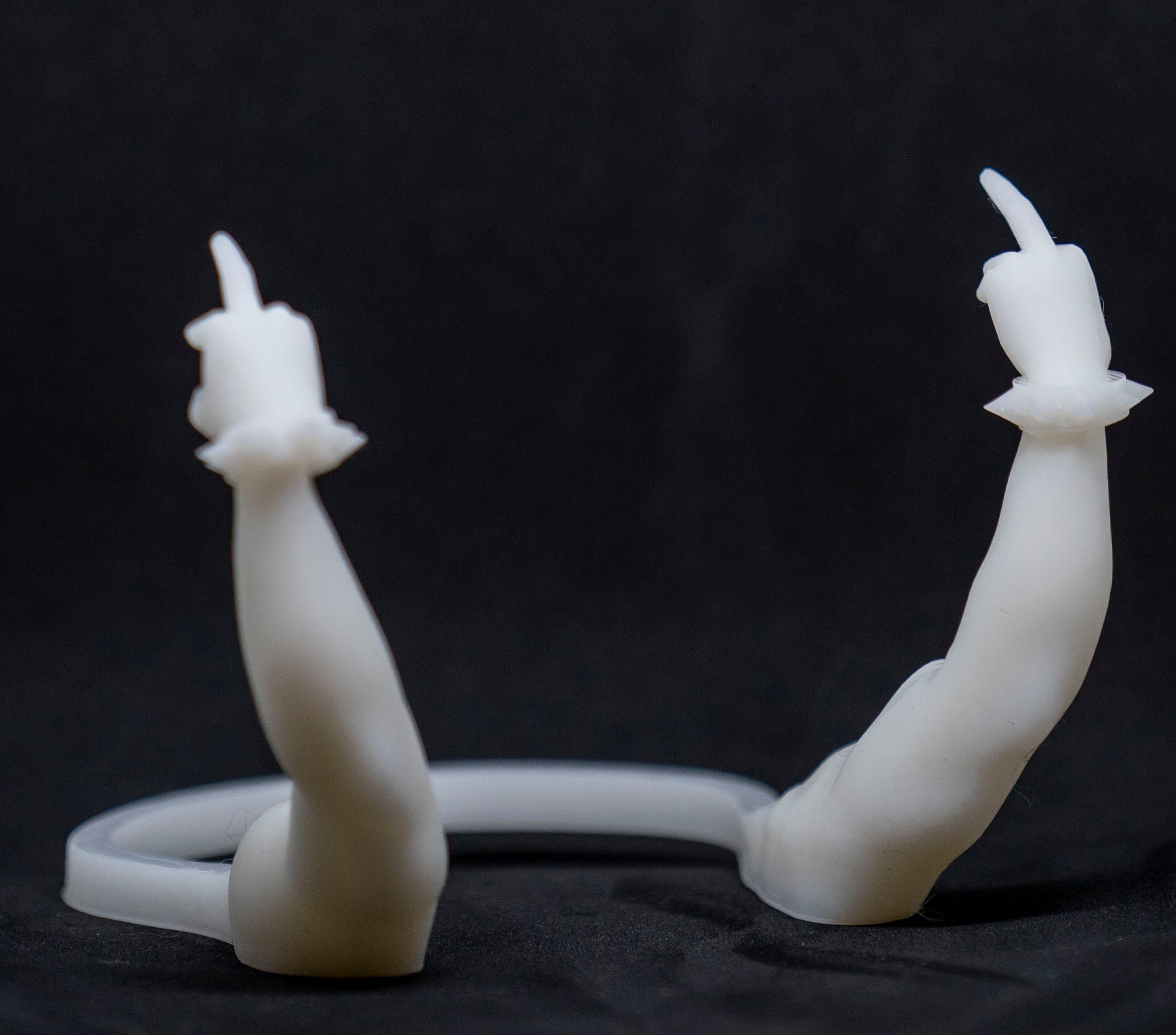 Chicken Arms 3D Print - Etsy