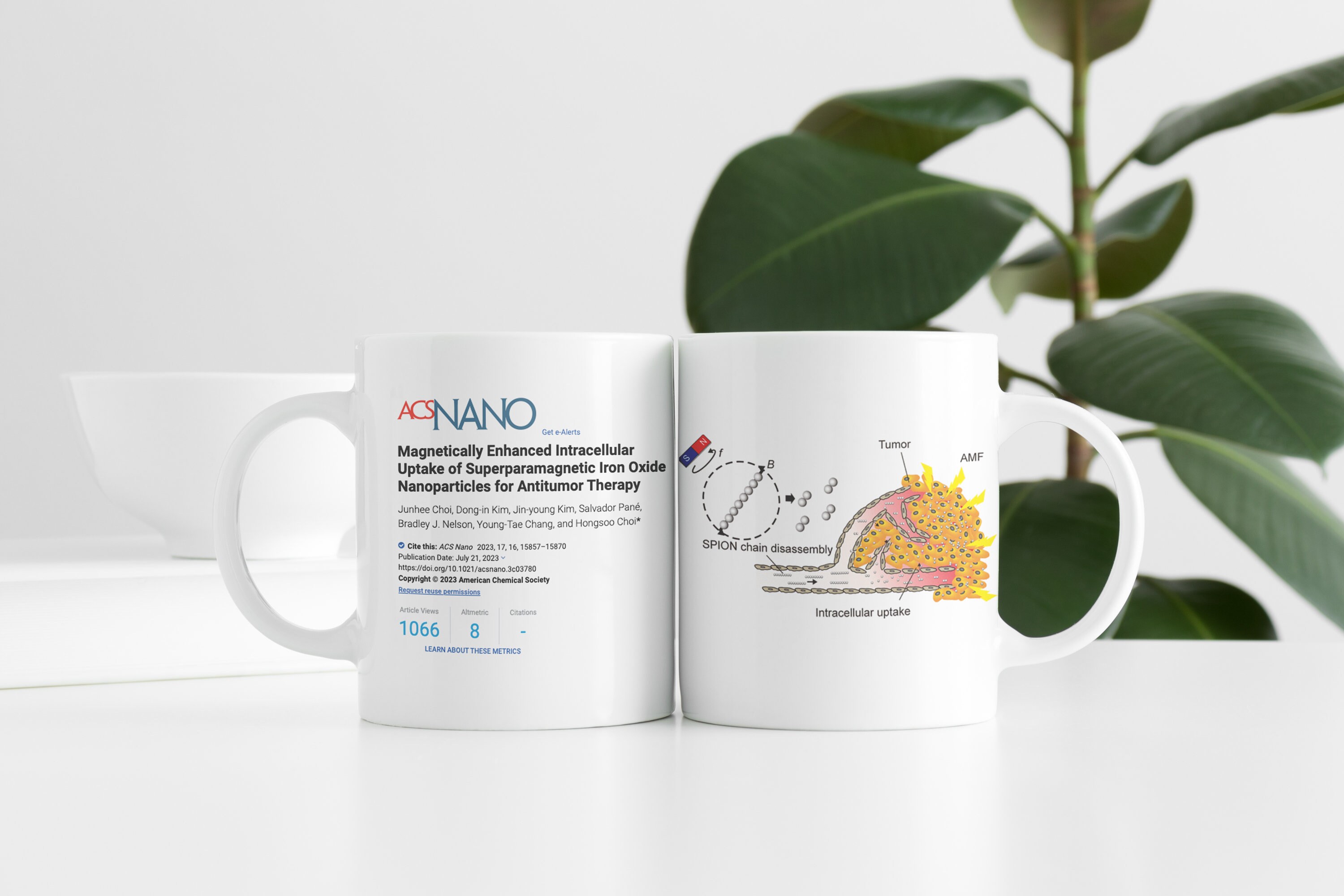 Custom Publication Mug | for Phd, Scientists, Masters Student | Science ...