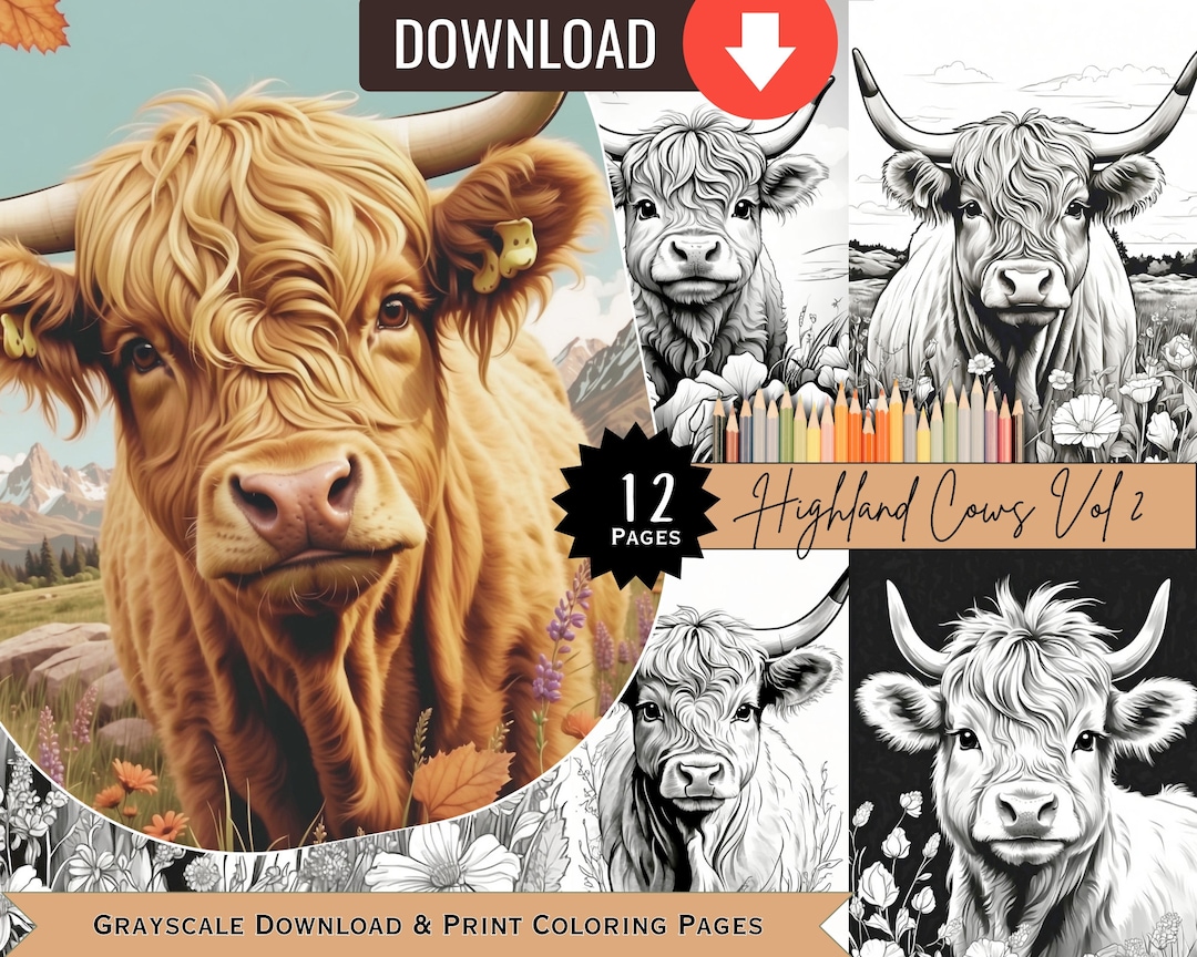 Digital Highland Cows Vol 2 Instant Digital Download and Print Coloring ...