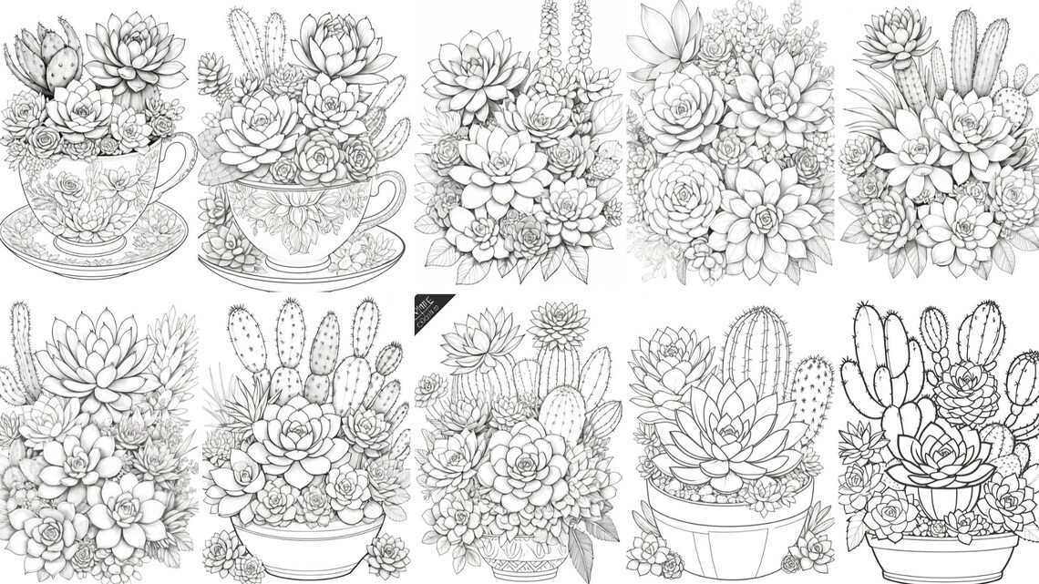 Succulents Bouquet Digital Coloring Book | Instant Download and Print ...