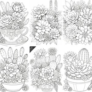 Succulents Bouquet Digital Coloring Book | Instant Download and Print ...