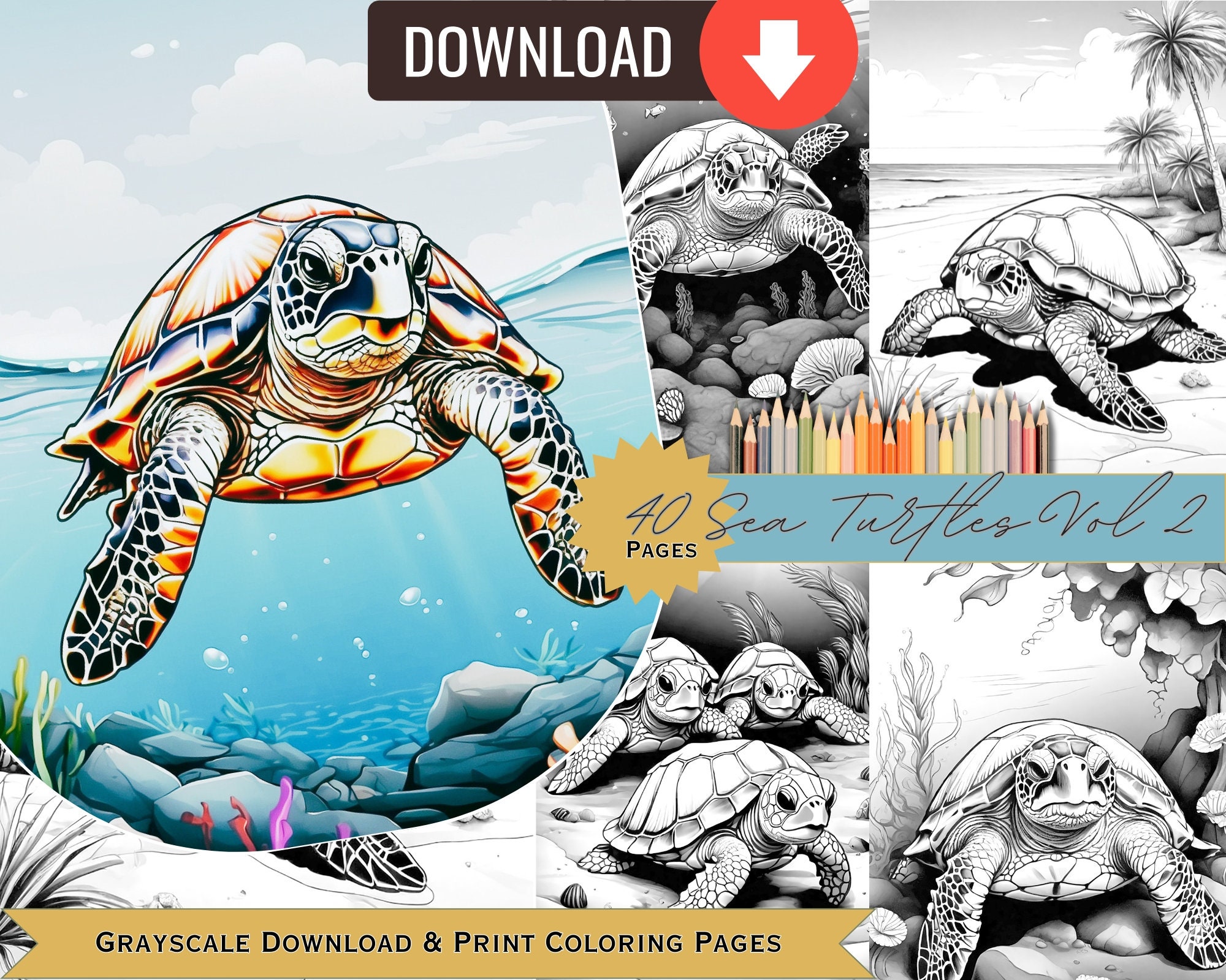 Digital Art Sea Turtles Vol 2 Adult Coloring Book Pages Instant ...