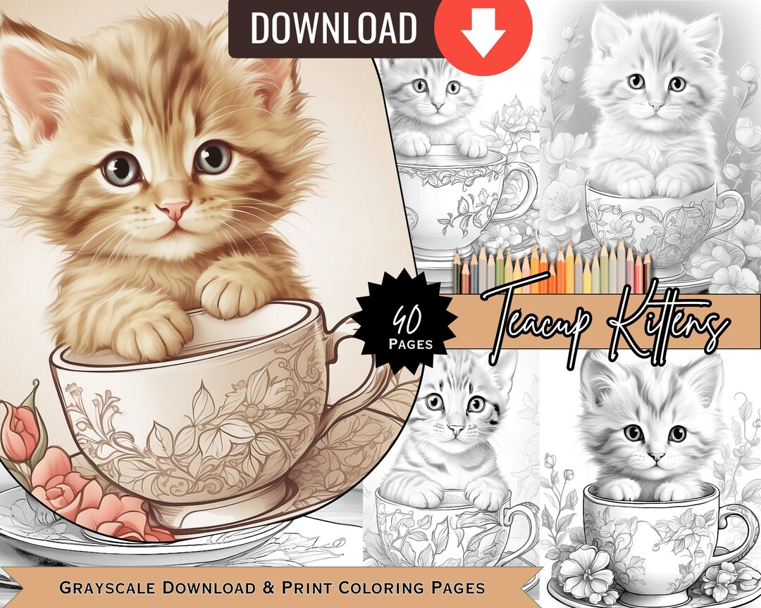Digital Printable Cute Kittens Coloring Book | Instant Download and ...