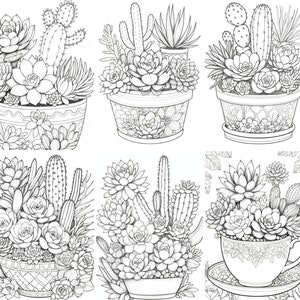 Succulents Bouquet Digital Coloring Book | Instant Download and Print ...