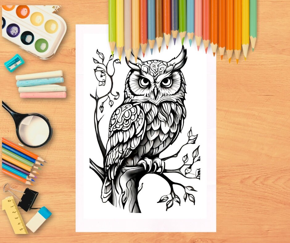 Digital Owl Adult Coloring Book Pages - Instant Download and Print ...