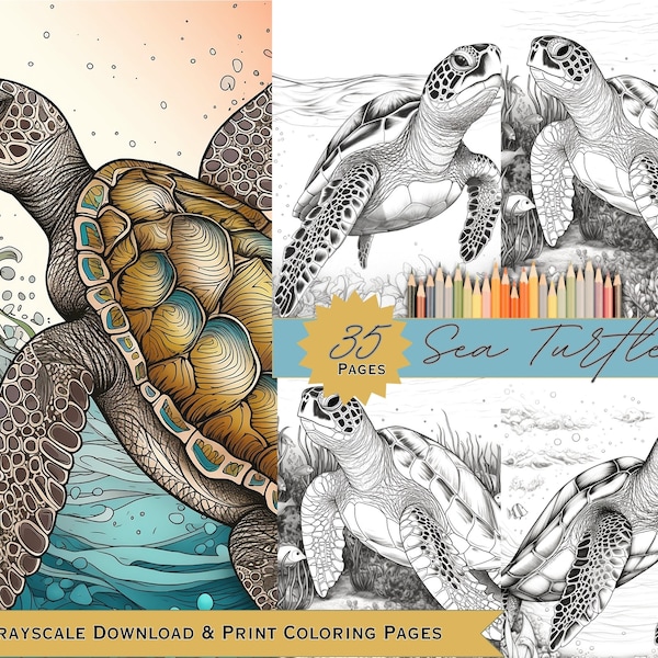 Turtle Coloring Sheet - Etsy