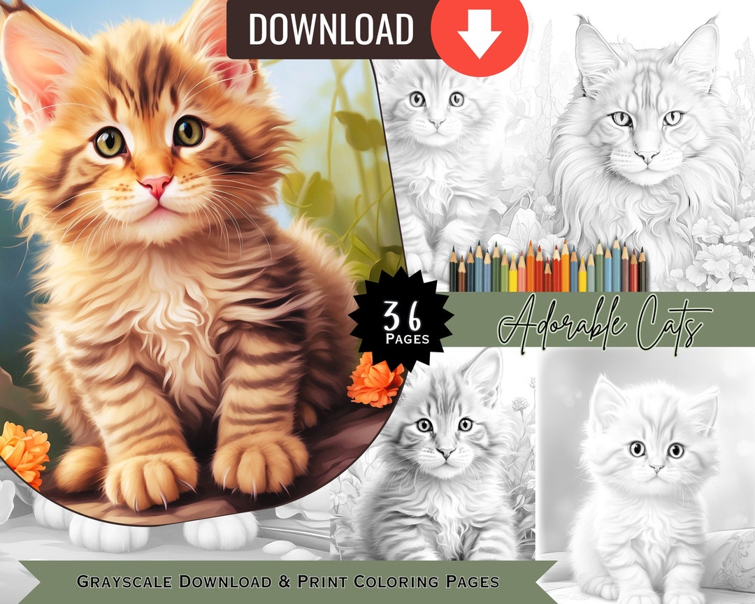 Digital Printable Cute Adorable Cats Coloring Book | Instant Download ...