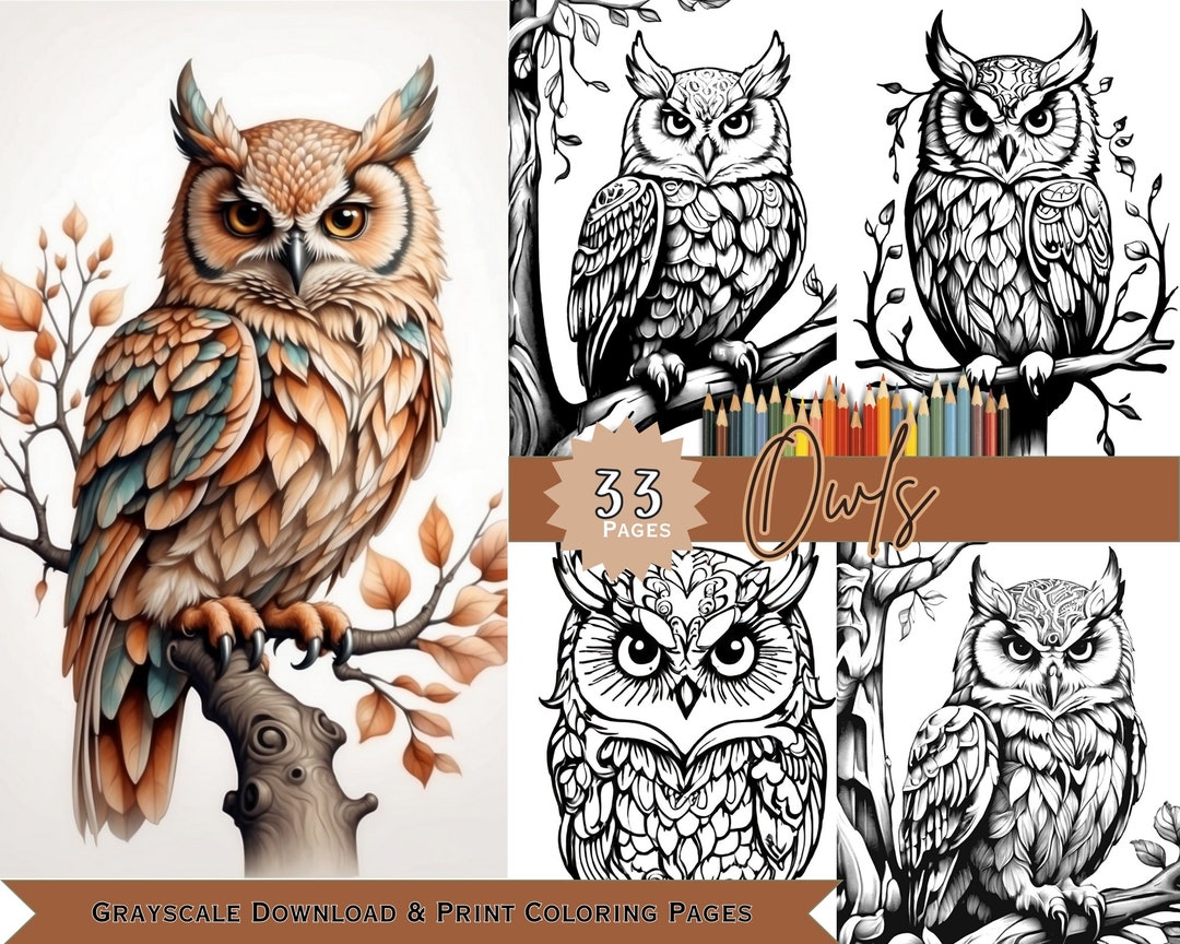 Digital Owl Adult Coloring Book Pages - Instant Download and Print ...