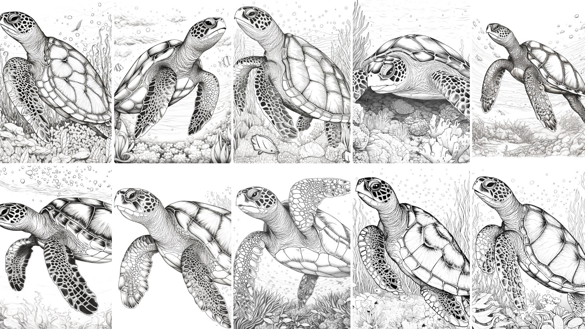 Digital Art Beautiful Sea Turtles- Ocean Animal -adult Grayscale ...