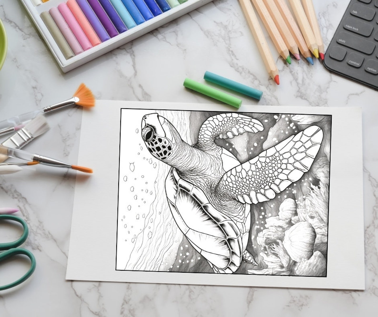 Digital Art Beautiful Sea Turtles- Ocean Animal -adult Grayscale ...