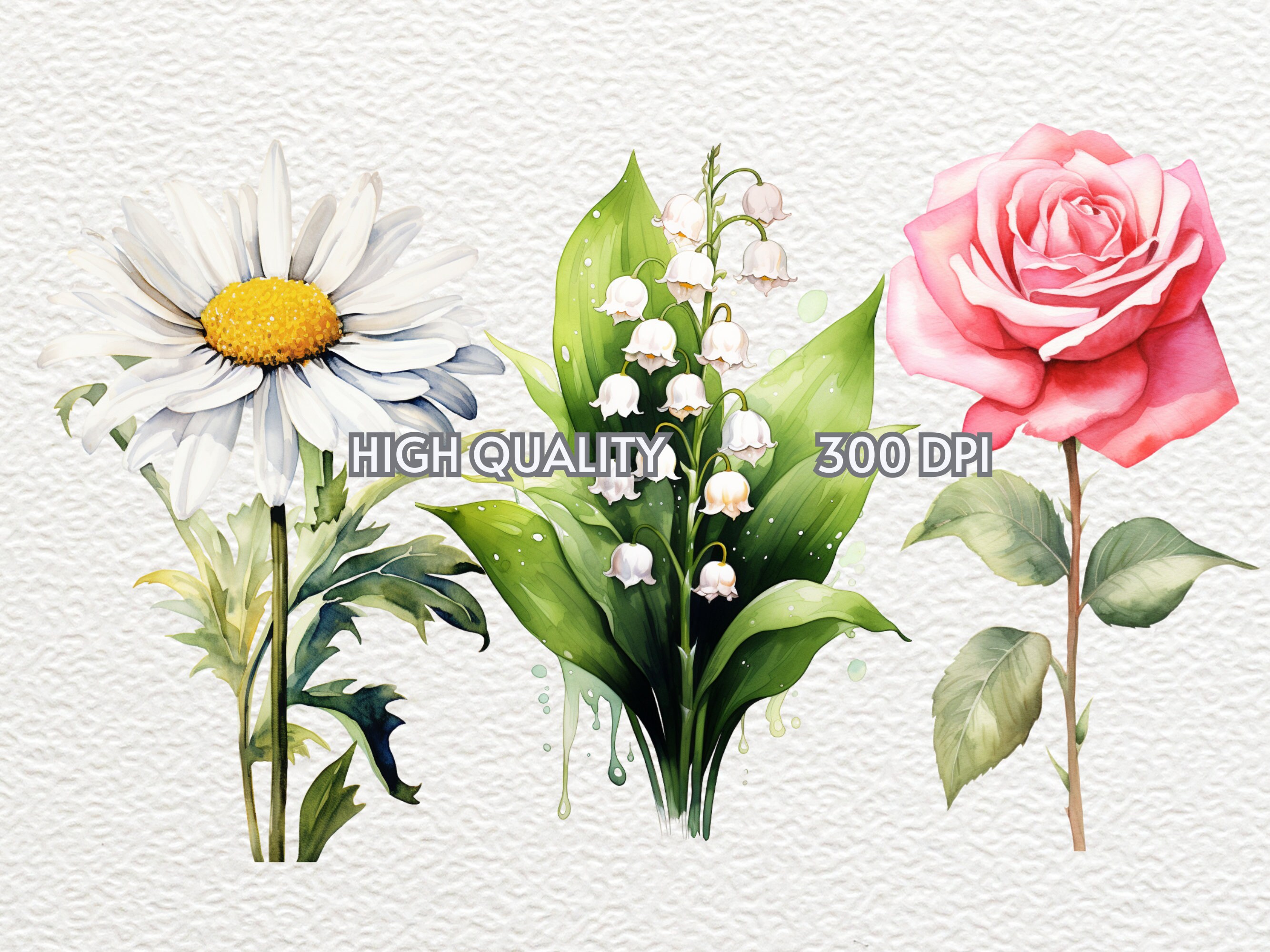 Watercolor Birth Month Flower Clipart Birth Month Flower Art - Etsy Canada