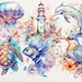 Watercolor Nautical Clipart, Under the Sea, Nautical Png, Marine ...