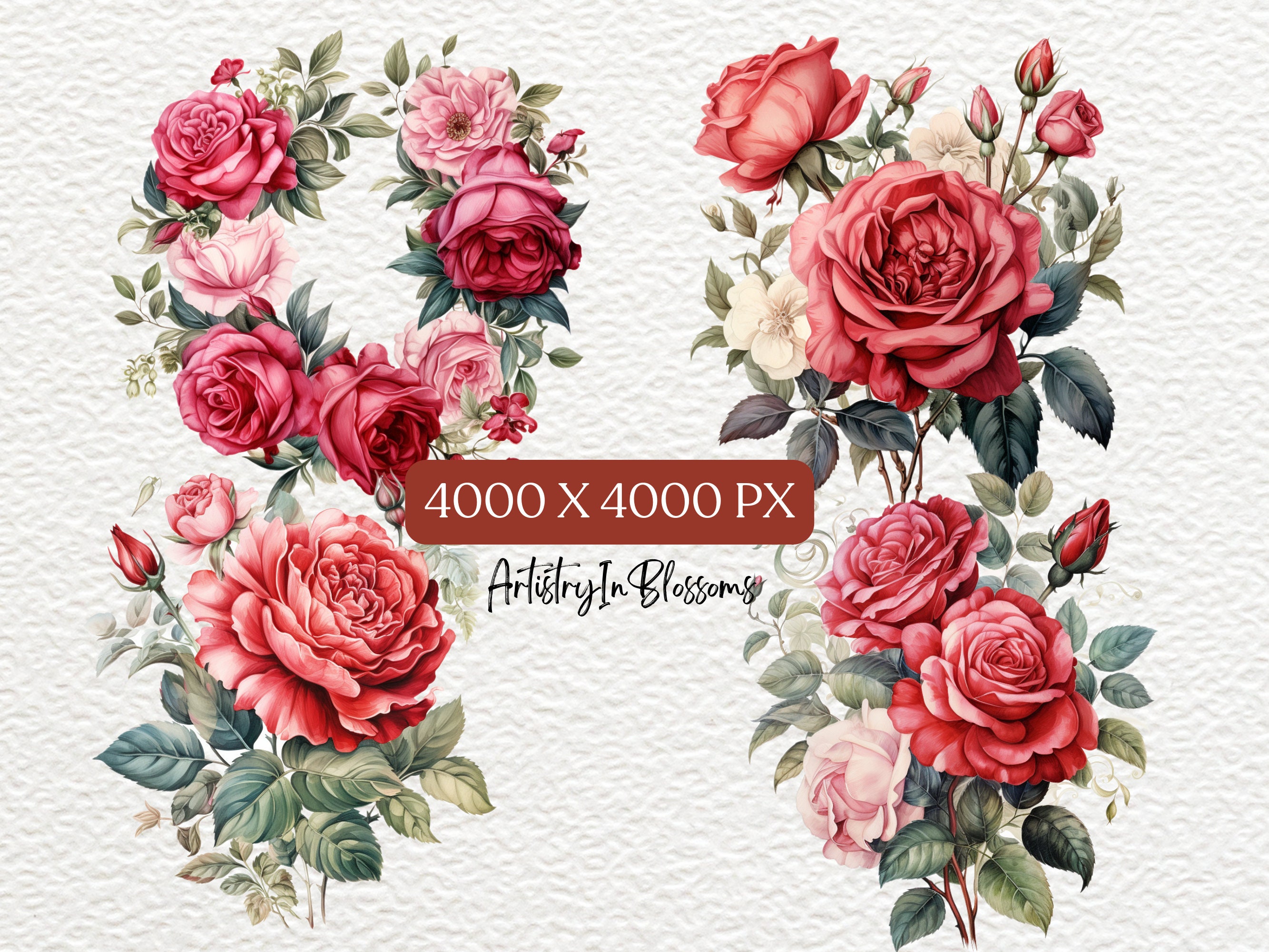 Pacote de Rosas Svg | Rosas Vermelhas Svg | Rosas Blush | Clipart de ...