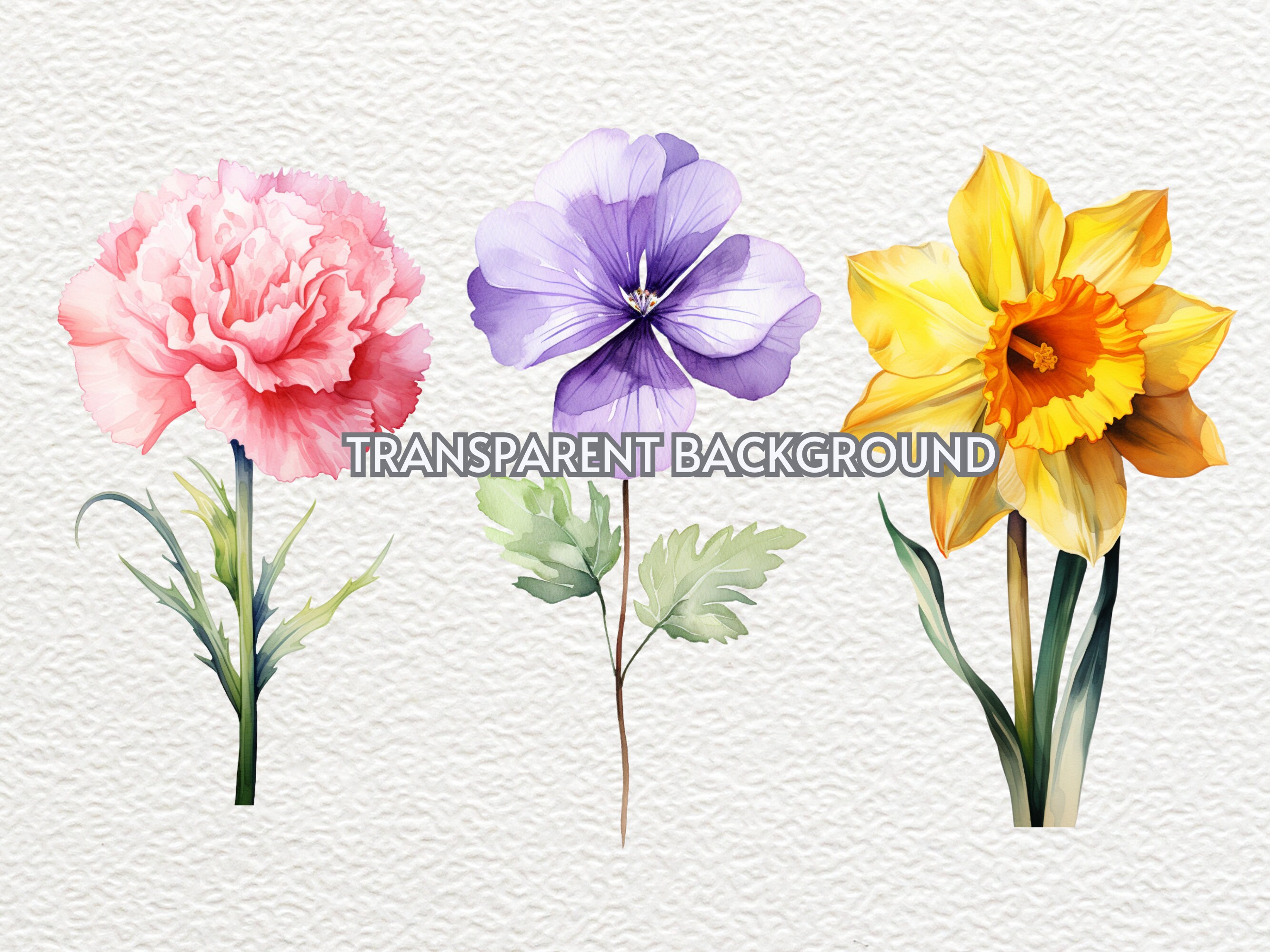 Watercolor Birth Month Flower Clipart Birth Month Flower Art - Etsy Canada