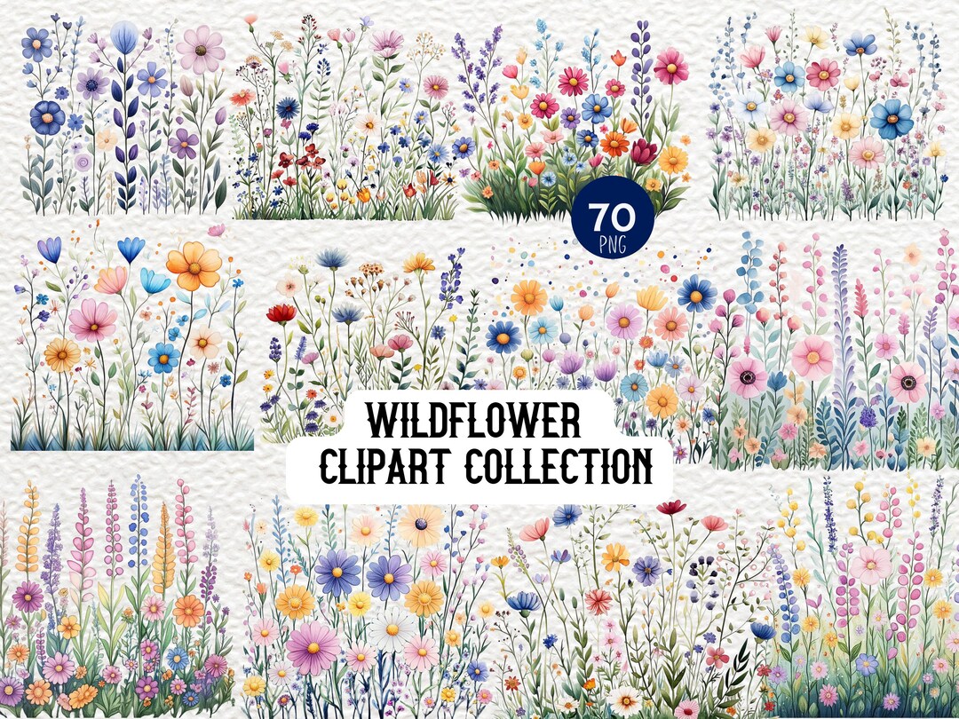 Watercolor Wildflower Clipart Bundle, Floral PNG, Boho Flowers ...