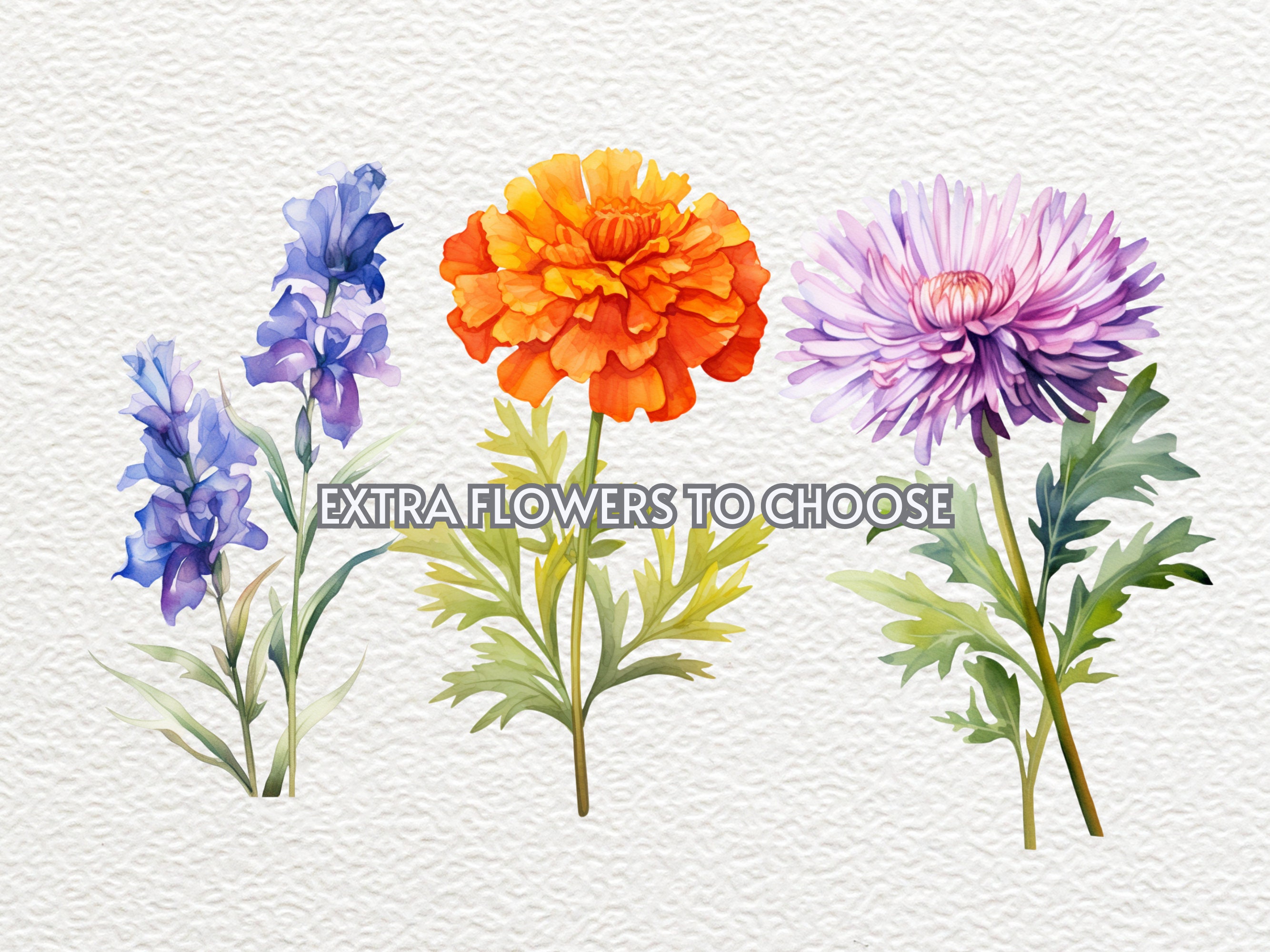 Watercolor Birth Month Flower Clipart Birth Month Flower Art - Etsy