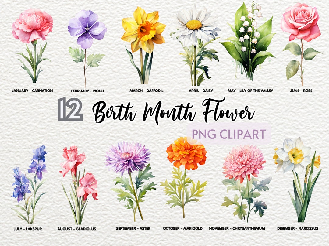 Watercolor Birth Month Flower Clipart, Birth Month Flower Art ...