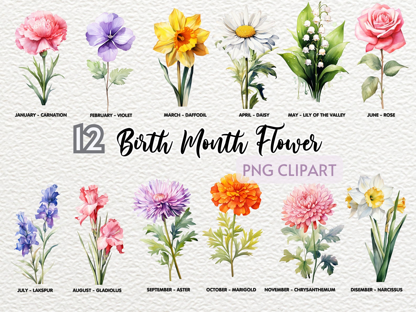 Watercolor Birth Month Flower Clipart Birth Month Flower Art - Etsy Canada