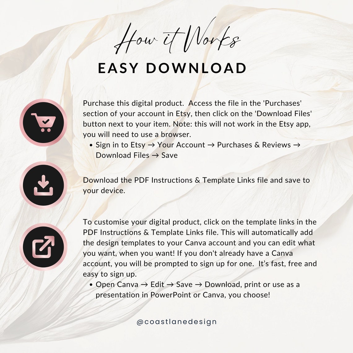 Editable Brand Board Kit Two Style Boards for Logo, Colour Palette ...