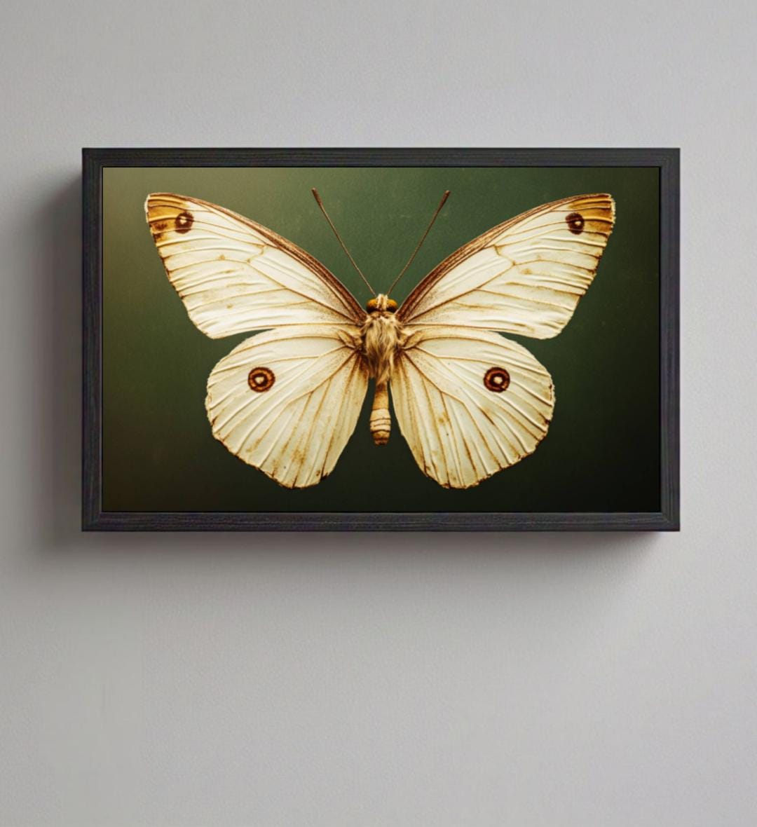 Vintage Butterfly Print Dart Moody Wall Art Insect Printable Wall Art ...