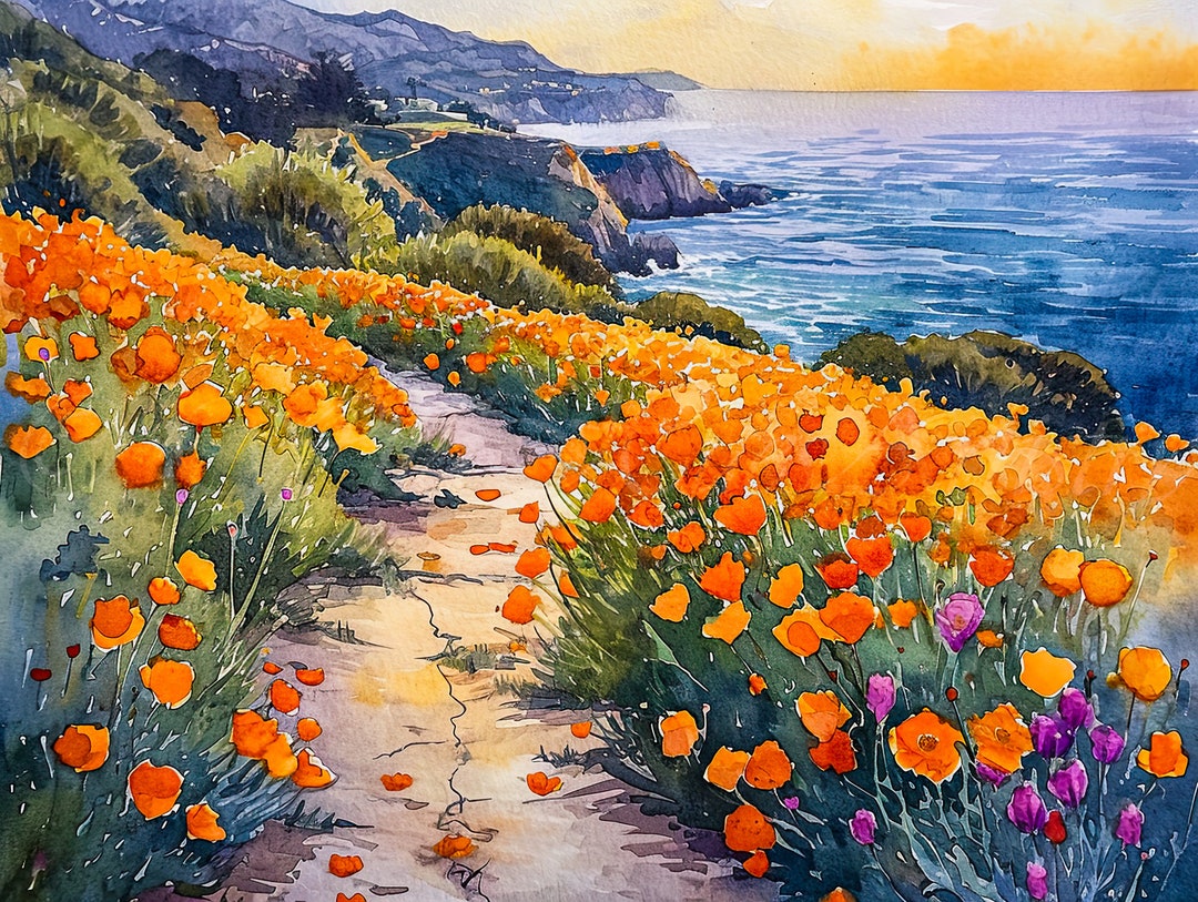 Colorful California Poppies Big Sur Valley Wildflower Landscape ...