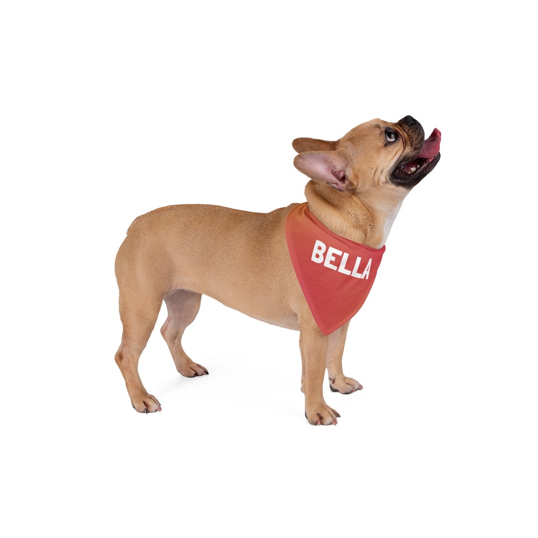 Pink & Gold Gradient Custom Name (bella) Dog Bandana - Etsy