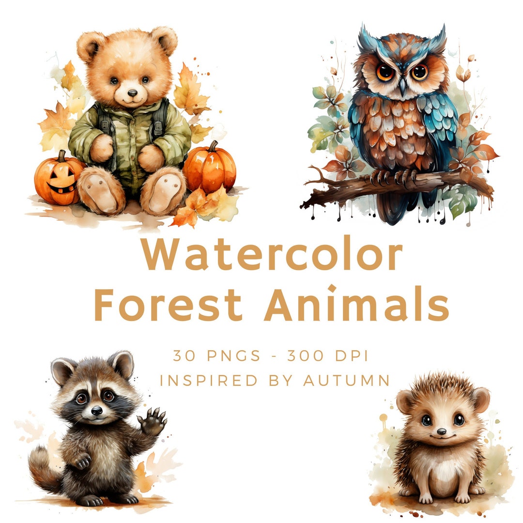 Watercolor Forest Animals: Digital Clipart PNG Bundle 30 Whimsical ...