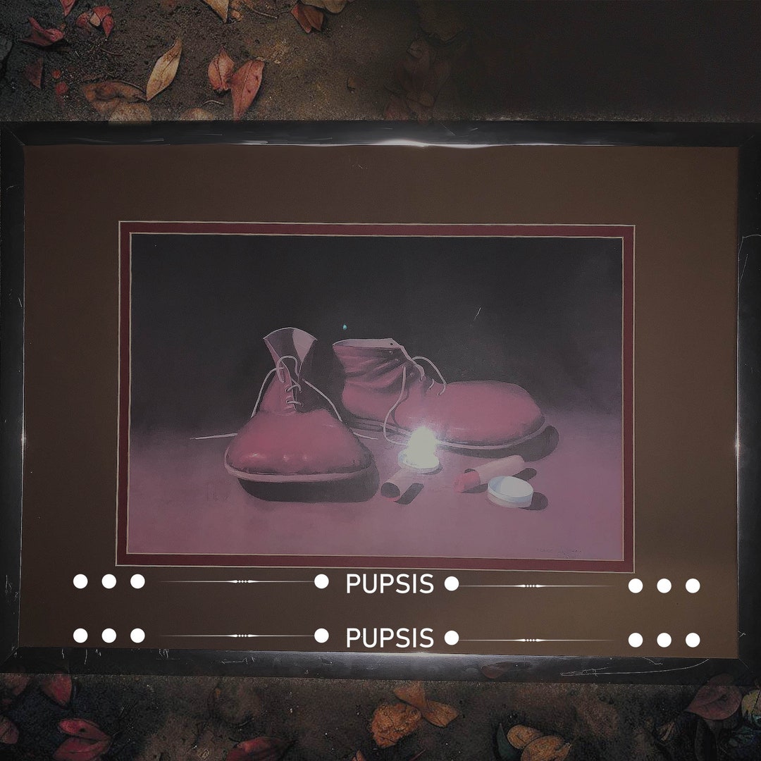 Vintage Signed by Jim Howle red Shoes 23x28 Jim - Etsy