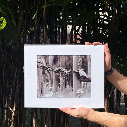 haileyfishfilm - Etsy