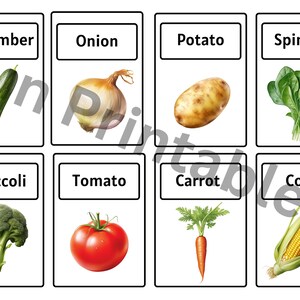 VEGETABLES • 13 Editable Montessori Cards • Preschoolers, Homeschoolers ...