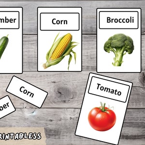 VEGETABLES • 13 Editable Montessori Cards • Preschoolers, Homeschoolers ...
