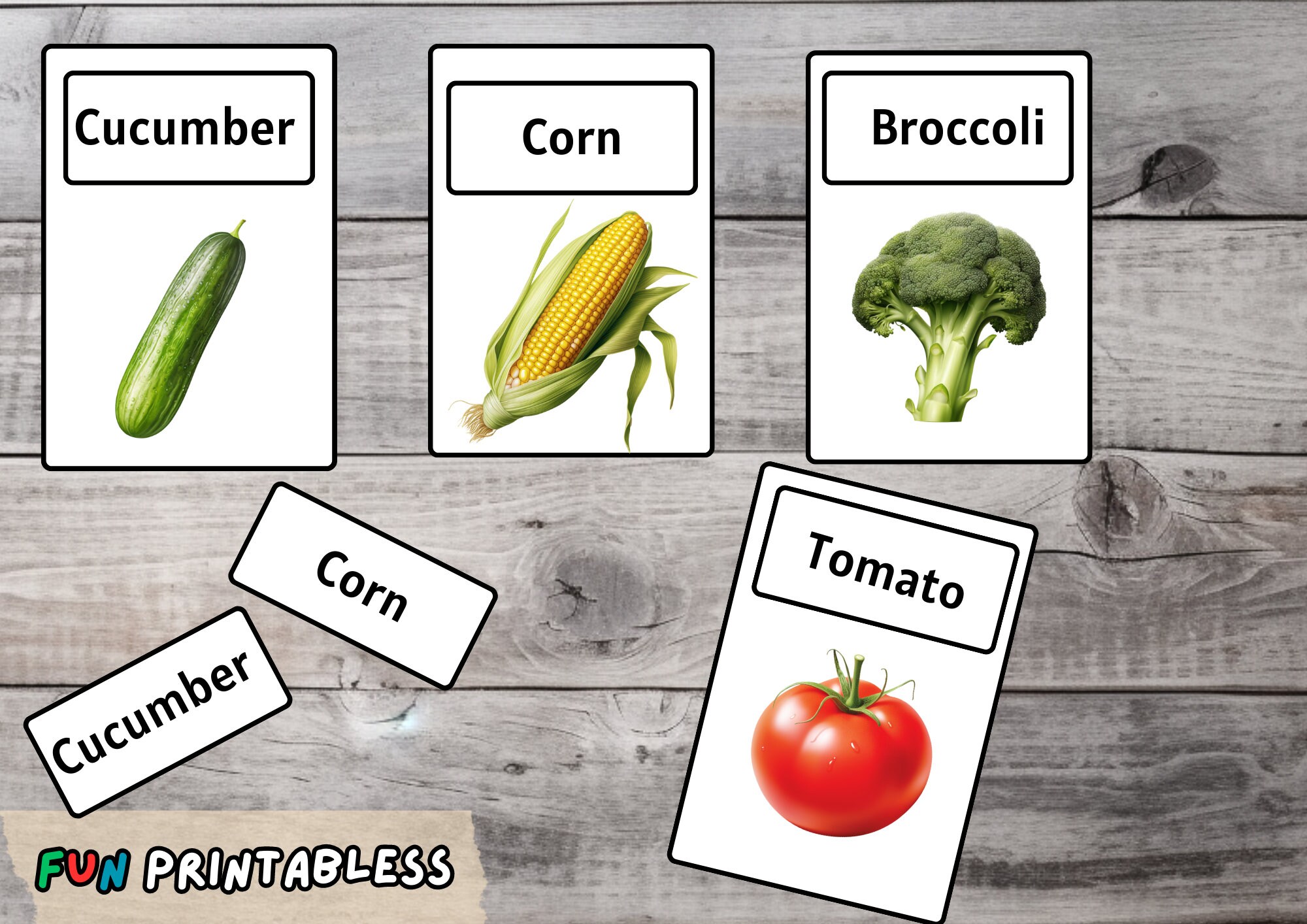 VEGETABLES • 13 Editable Montessori Cards • Preschoolers, Homeschoolers ...