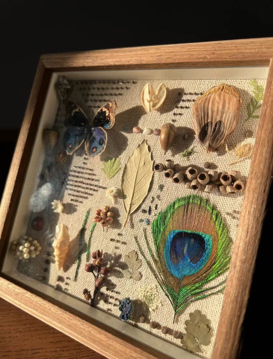 Hollow Wood Specimen Frame for Handmade Pressed Flowers - Etsy