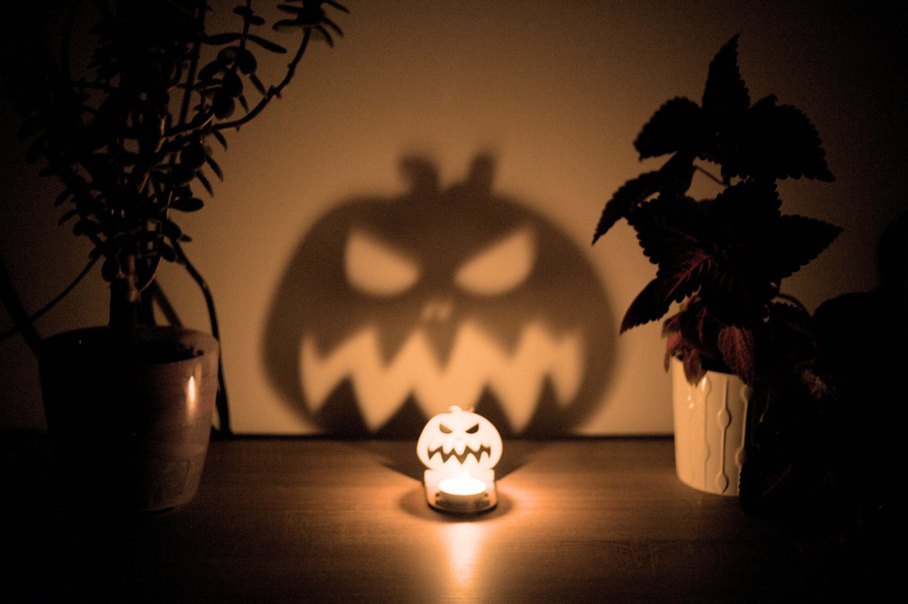 Spooky Pumpkin 4 Types Laser Cut Vectors Files SVG DXF Template ...