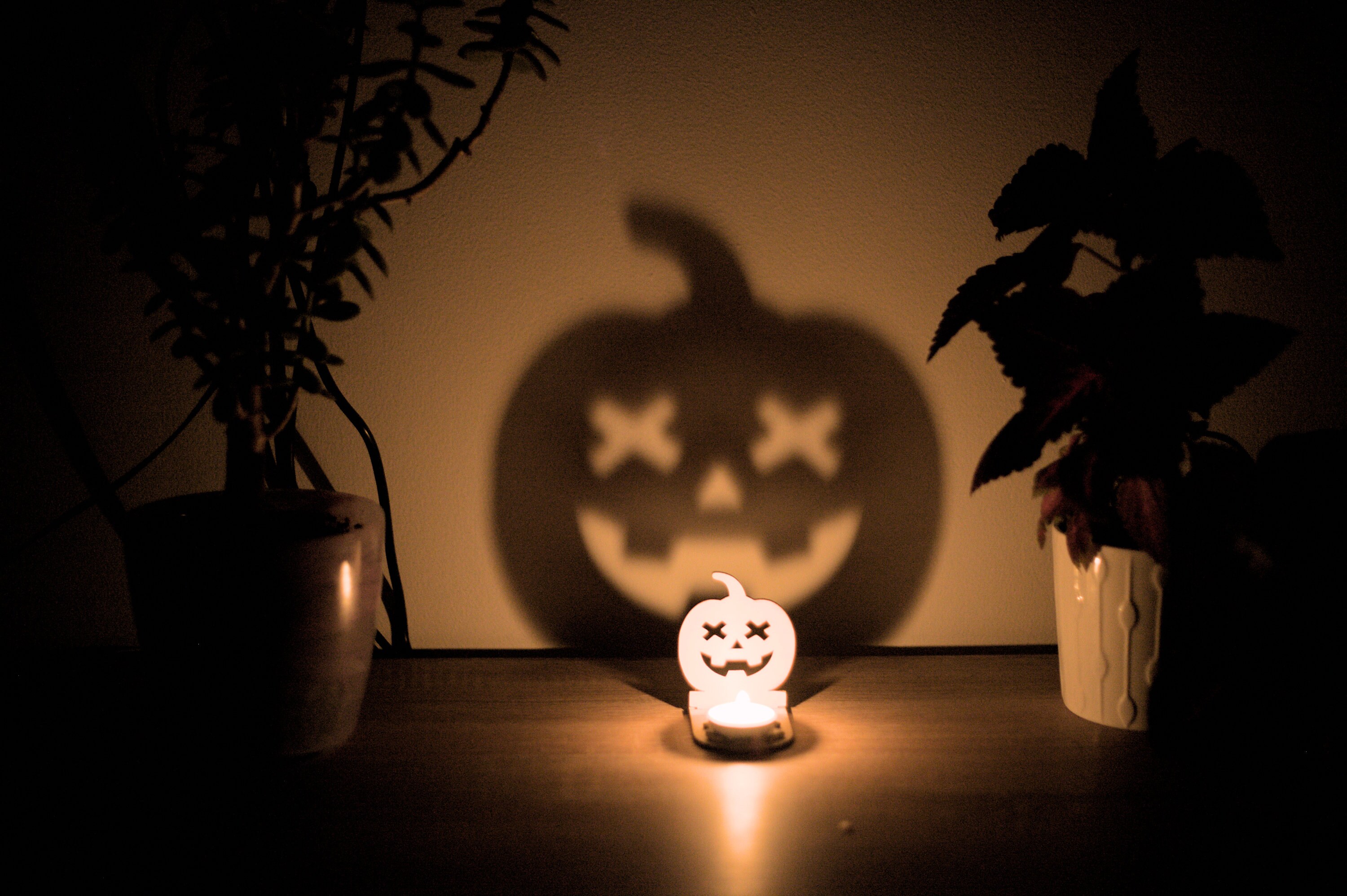 Spooky Pumpkin 4 Types Laser Cut Vectors Files SVG DXF Template ...