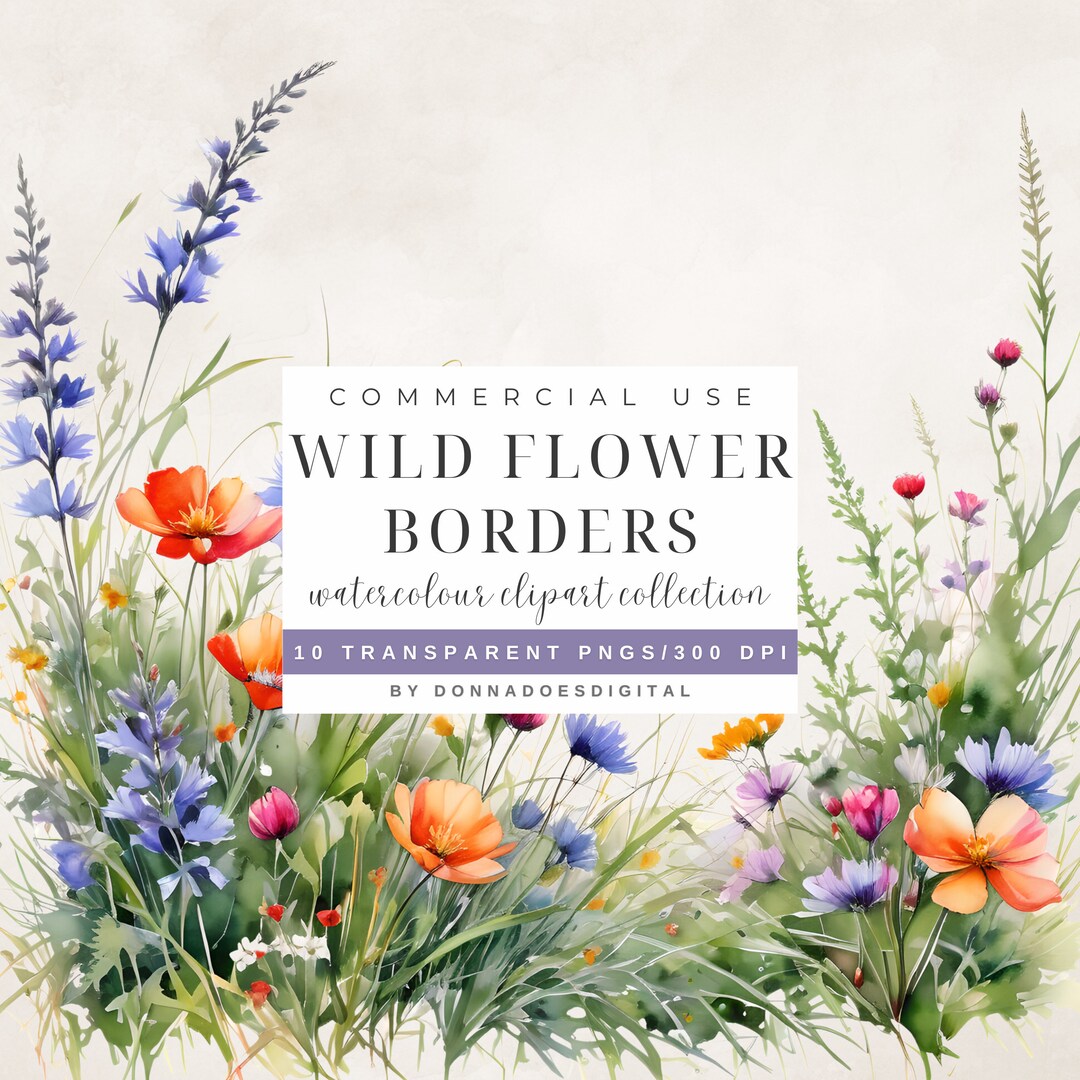 Wild Flower Borders, Floral Clipart, Wild Flower Clip Art, 10 ...