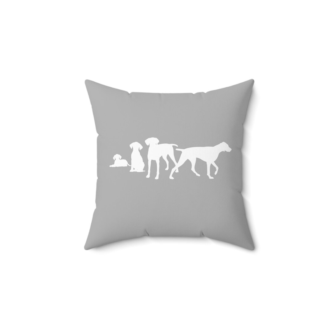 Evolution of the GSP - Square Pillow - Etsy