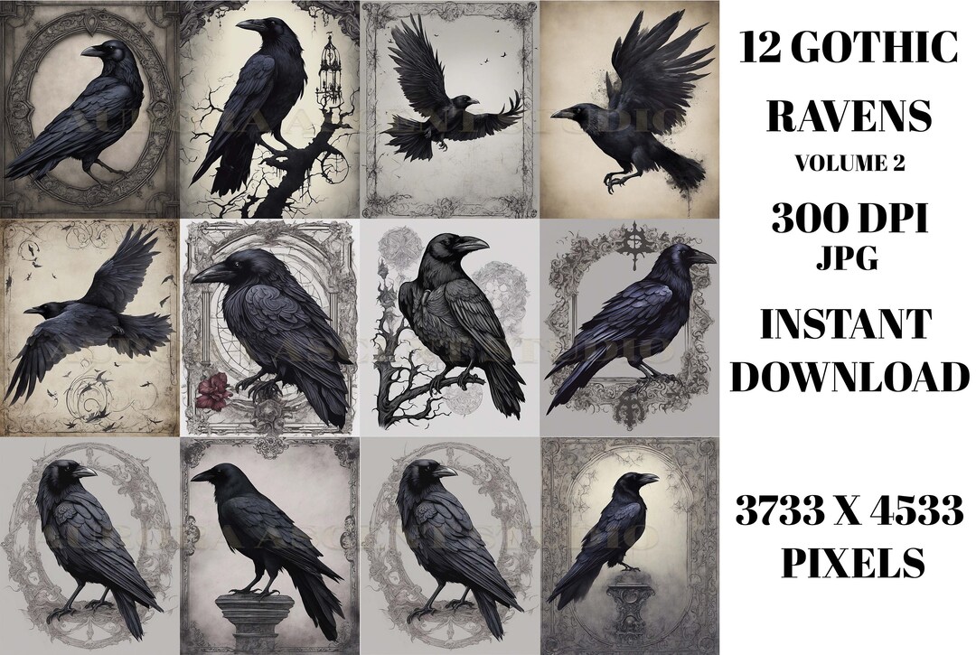 12 Crows With Gothic Style 300 DPI JPG Instant Download VOLUME 2 ...