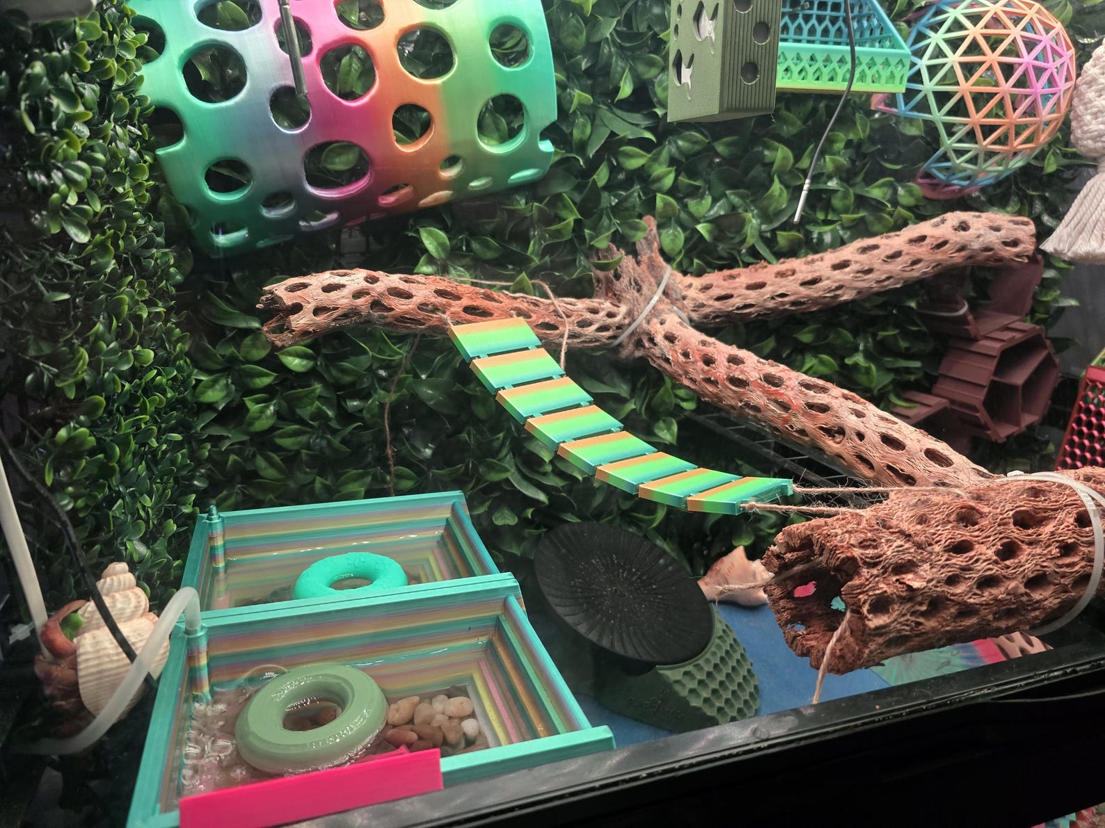 Suspension Bridge - Hanging Climbing - Lizard, Hermit Crab, Snake, Rat ...