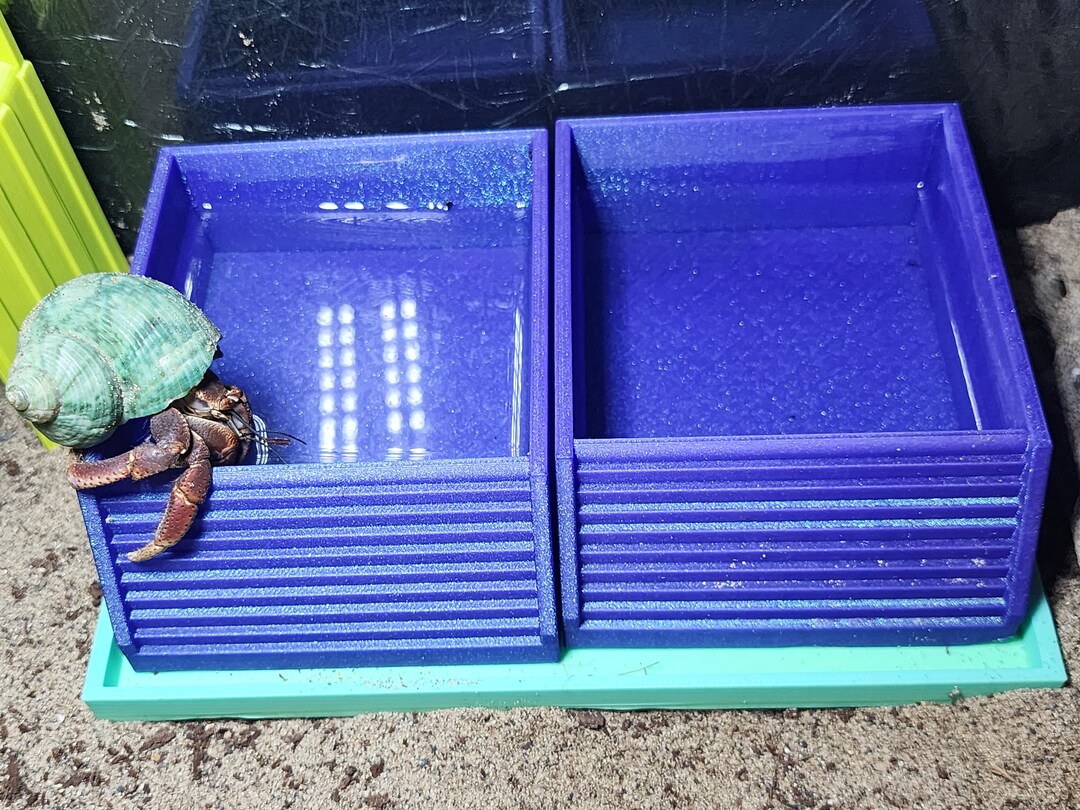 3D Printed Hermit Crab Pools - No Bubblers - Etsy
