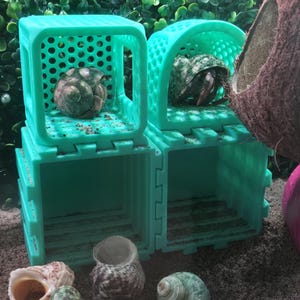 The Crab Stacks – Modular Cubby Pods for Hermit Crabs - Etsy