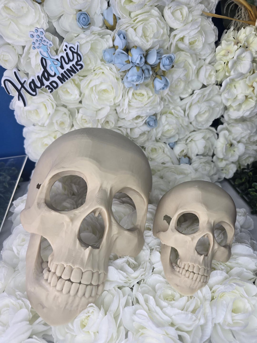 Skull Spider Hide - Etsy