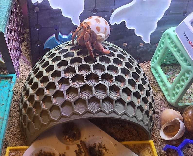 3D Printed Honeycomb Climbing Bridge - Hermit Crab - Enrichment - Etsy