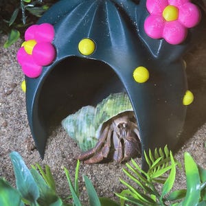 Cactus Hide House - Hermit Crab, Spiders, Gecko, Snake, Etc! - Etsy