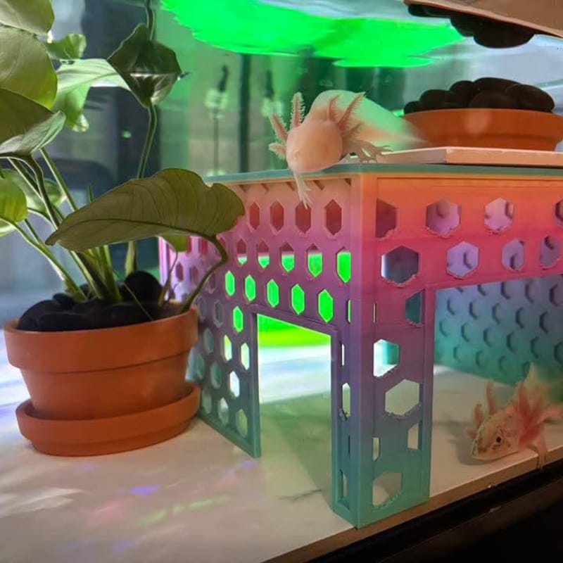 Axolotl Hides 3d Printed - Etsy