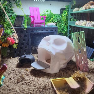 Skull Hide Hut Halloween Spooky - Etsy