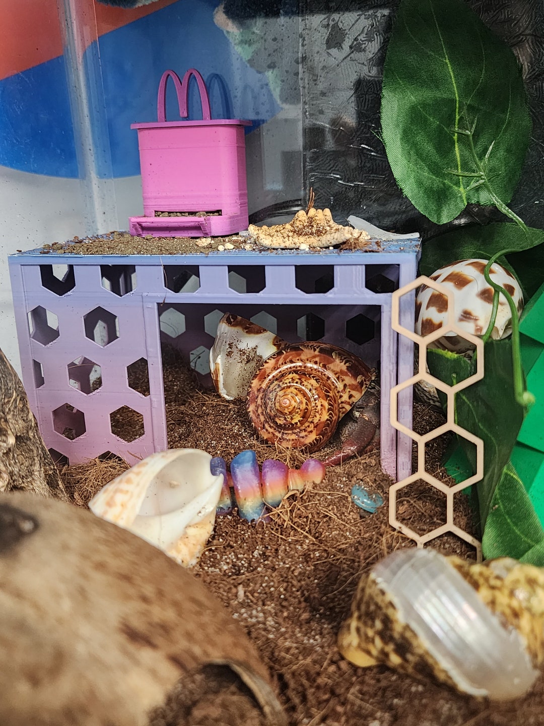 Hermit Crab Tank Climber/food Stand - Etsy