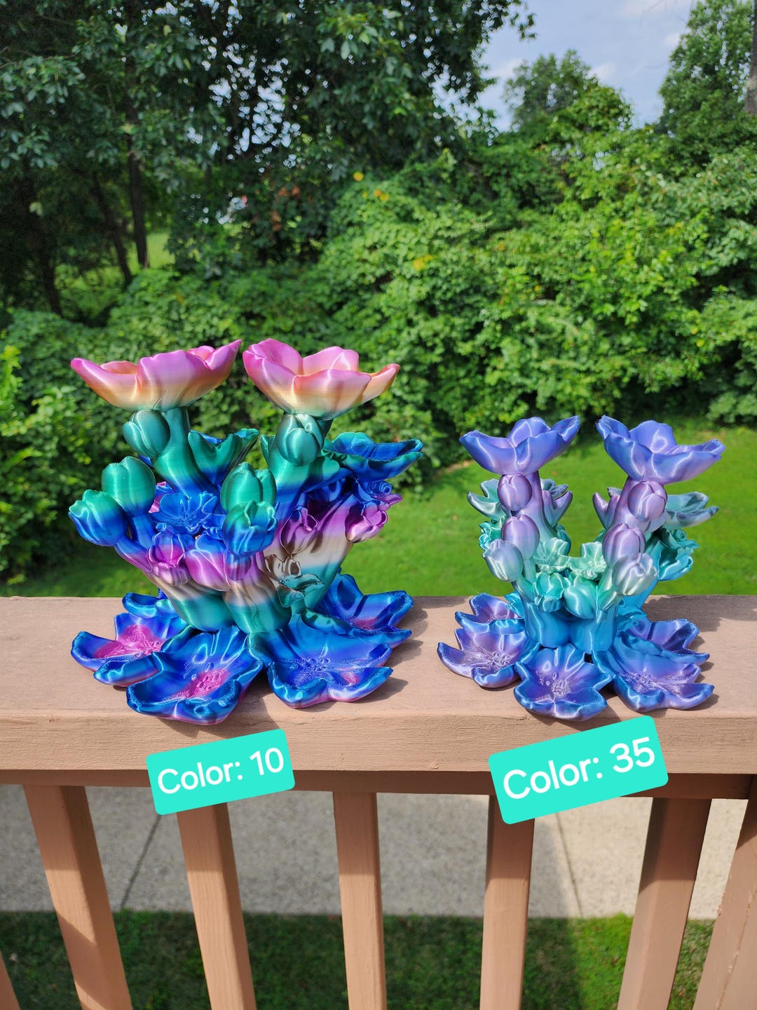 Foraging Tree Hermit Crabs - Etsy