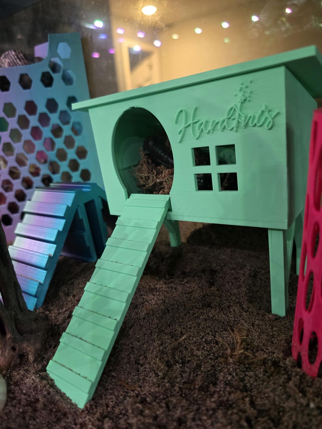Hermit Coop Foraging Hide for Hermit Crabs - Etsy
