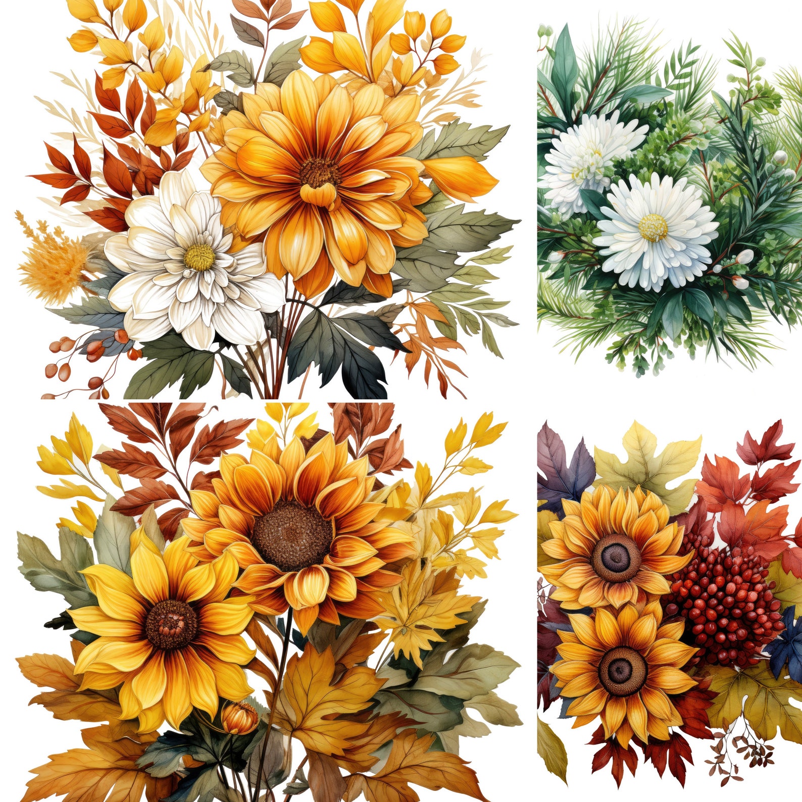 Watercolor Fall Flowers, Clipart, Autumn PNG, Wedding Clipart ...